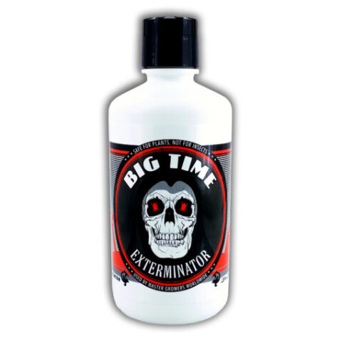 How to Kill Spider Mites | Big Time Zyme